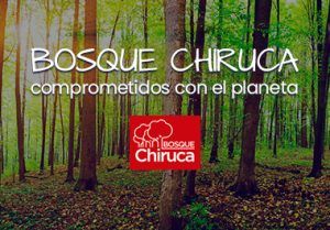 Chiruca
